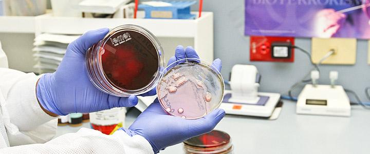 Medical Laboratory Science | ULM University of Louisiana at Monroe