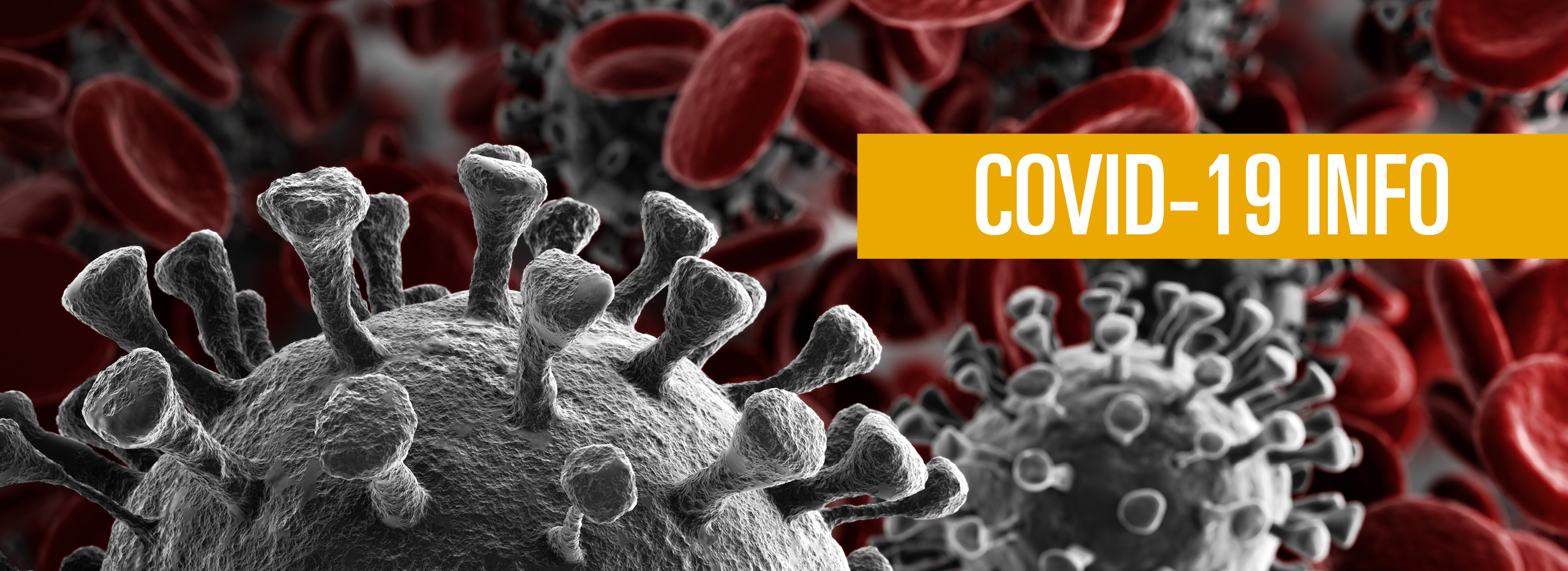 University of Louisiana Monroe | ULM University of Louisiana at Monroe