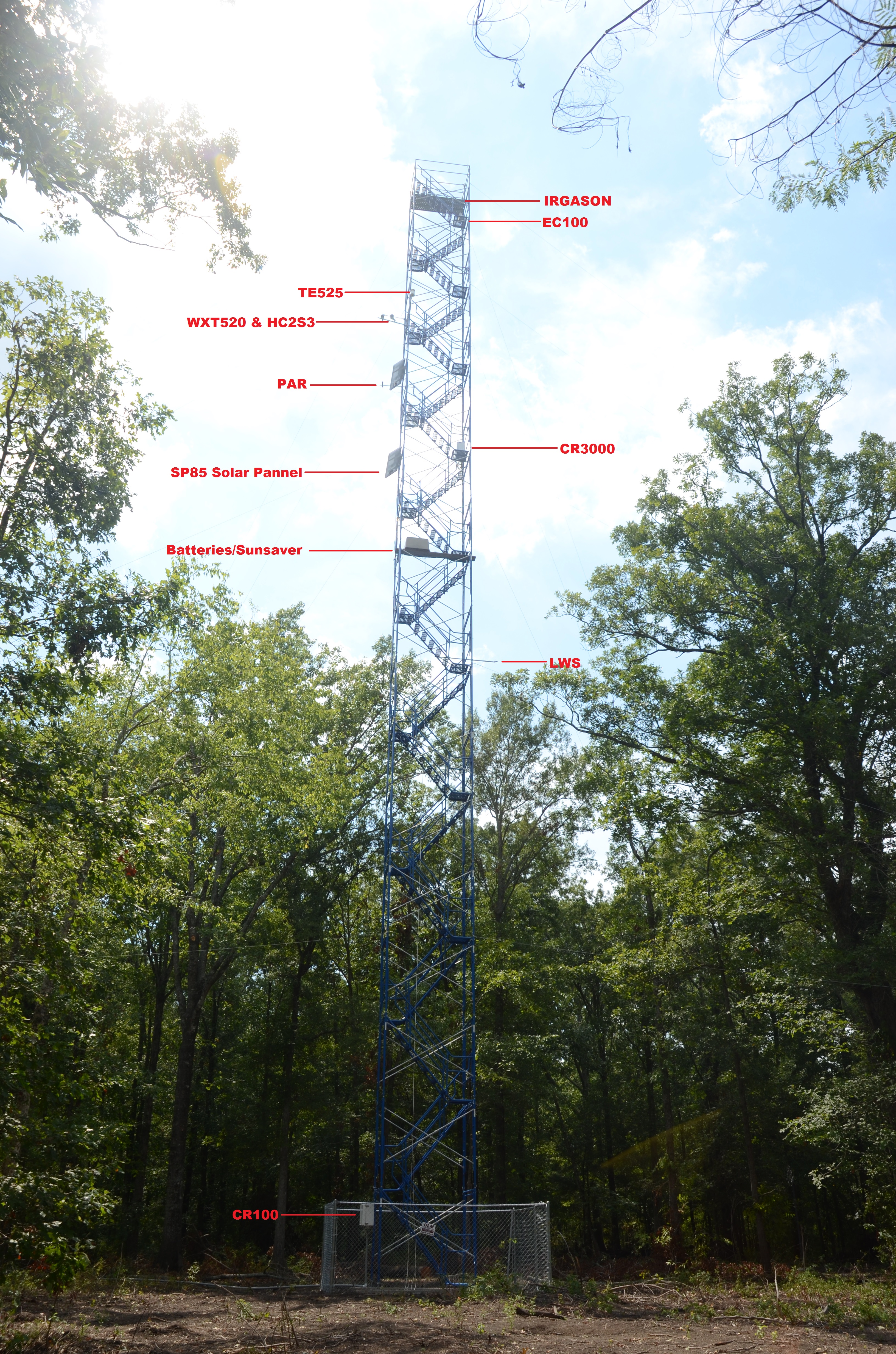 Plant Ecology at ULM – Flux Tower